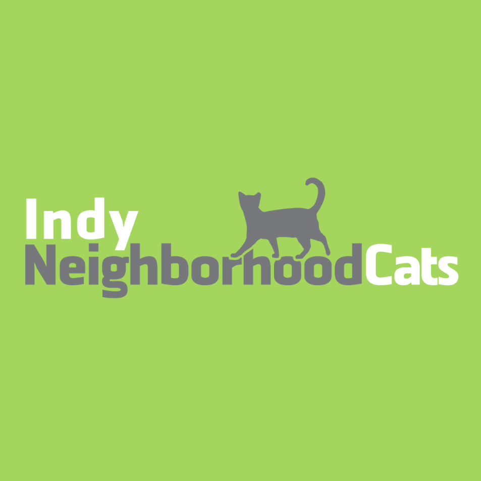 Indy Neighborhood Cats